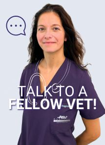 ASA Veterinary: Veterinary Lasertherapy and Magneto Therapy devices